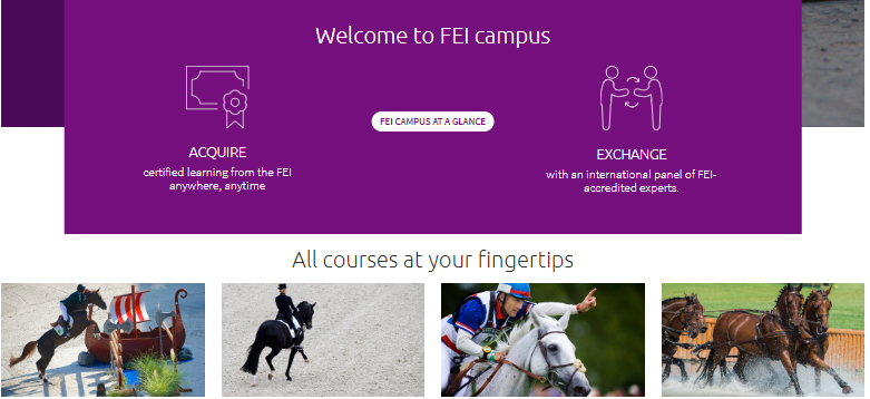 FEI oferece cursos online gratuitos – Adestramento Brasil