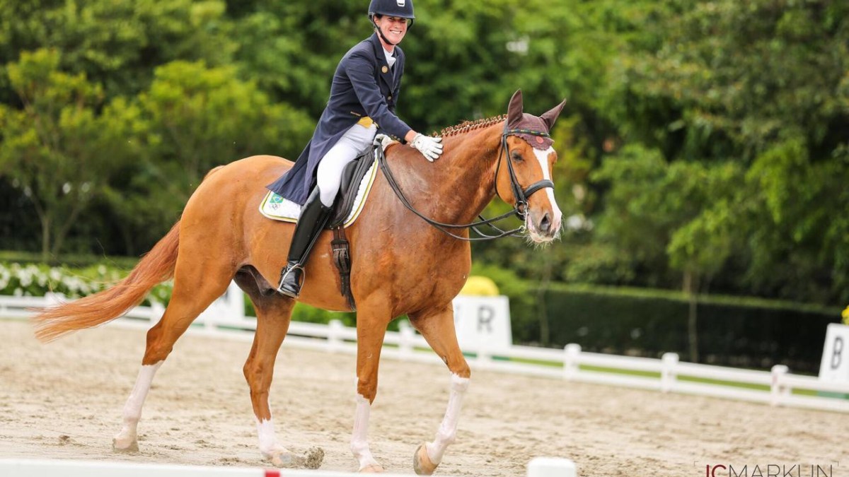 Como iniciar um potro recém-domado a buscar o contato com o bridão ...