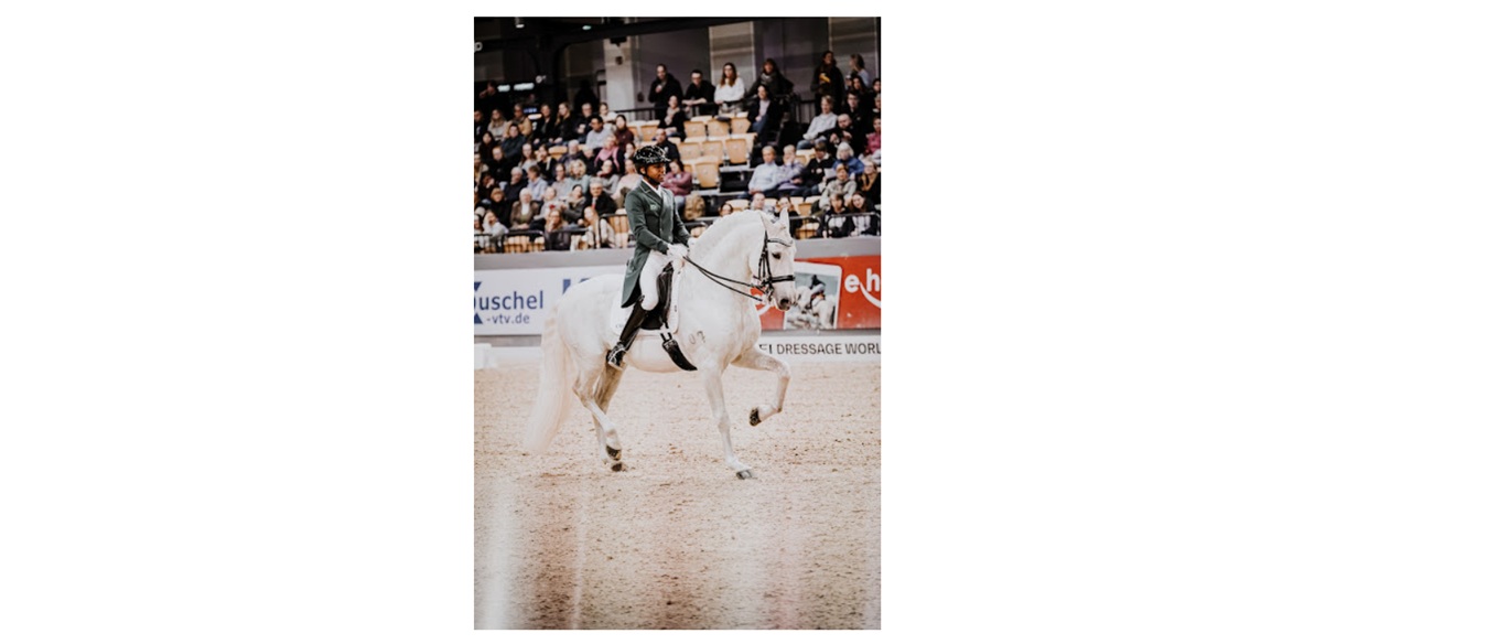 Adestramento Brasil – Fazemos mais que jornalismo: fortalecemos a ...